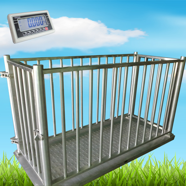 Industrial Weighing – IVS Engineering